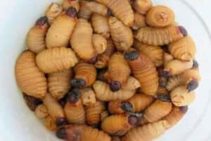 Mojojoy: Delicioso manjar amazónico - Receta 2026
